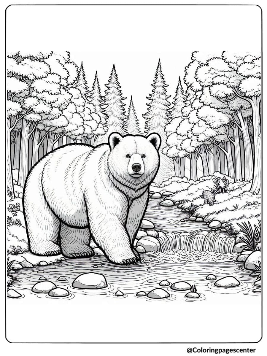 Realistic Bear Clipartmag Drawing Coloring Sketch Coloring Page